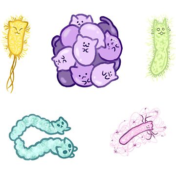 "Bacteria Cat II" Sticker for Sale by Vr3ush | Redbubble