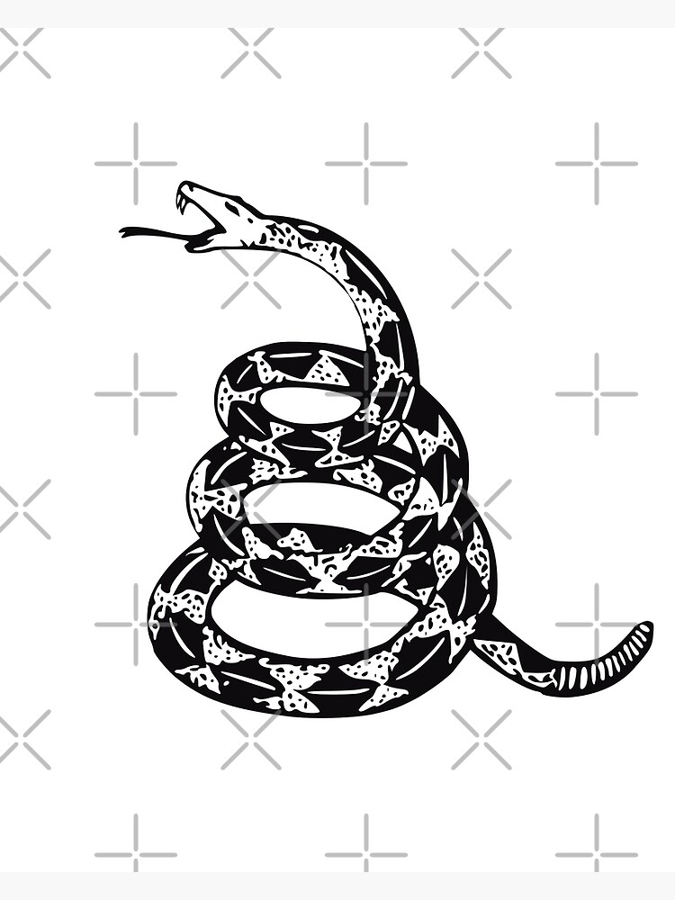 "Gadsden flag Don't tread on me Libertarian 2nd amendment 2A white flag ...
