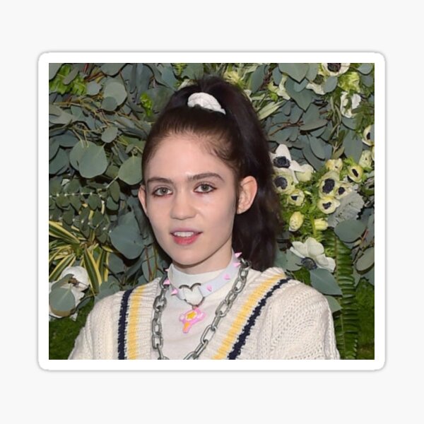 "grimes" Sticker for Sale by desmodontinae | Redbubble