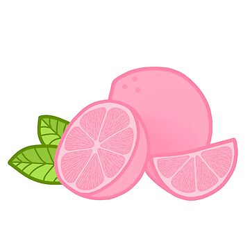 Pink Lemon Clip Art