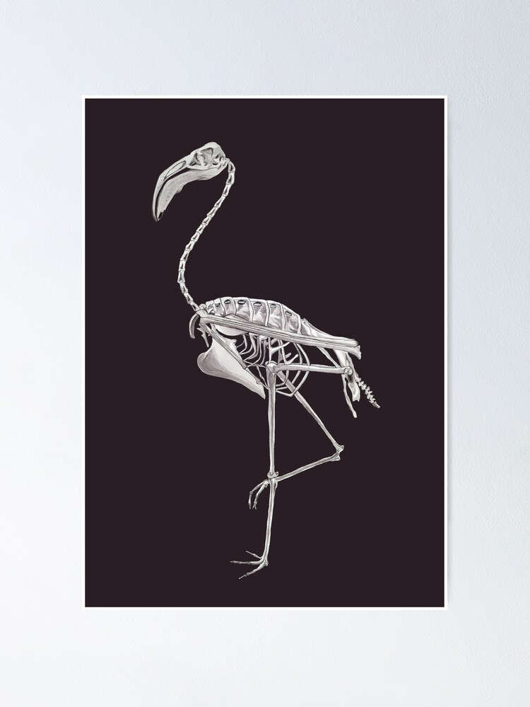 "Flamingo Skeleton: Bird Halloween Animal Anatomy" Poster for Sale by ...