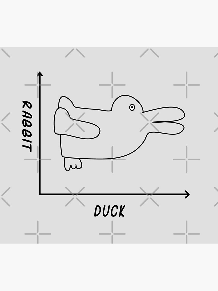 "Duck/Rabbit Graph" Photographic Print for Sale by bethcentral | Redbubble