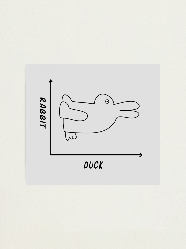 "Duck/Rabbit Graph" Photographic Print for Sale by bethcentral | Redbubble