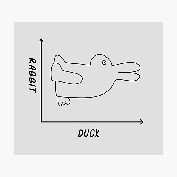 "Duck/Rabbit Graph" Photographic Print for Sale by bethcentral | Redbubble