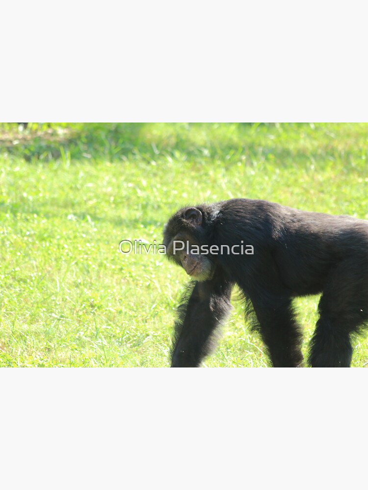 "Hmmm?" Sticker for Sale by Wildwinyan | Redbubble