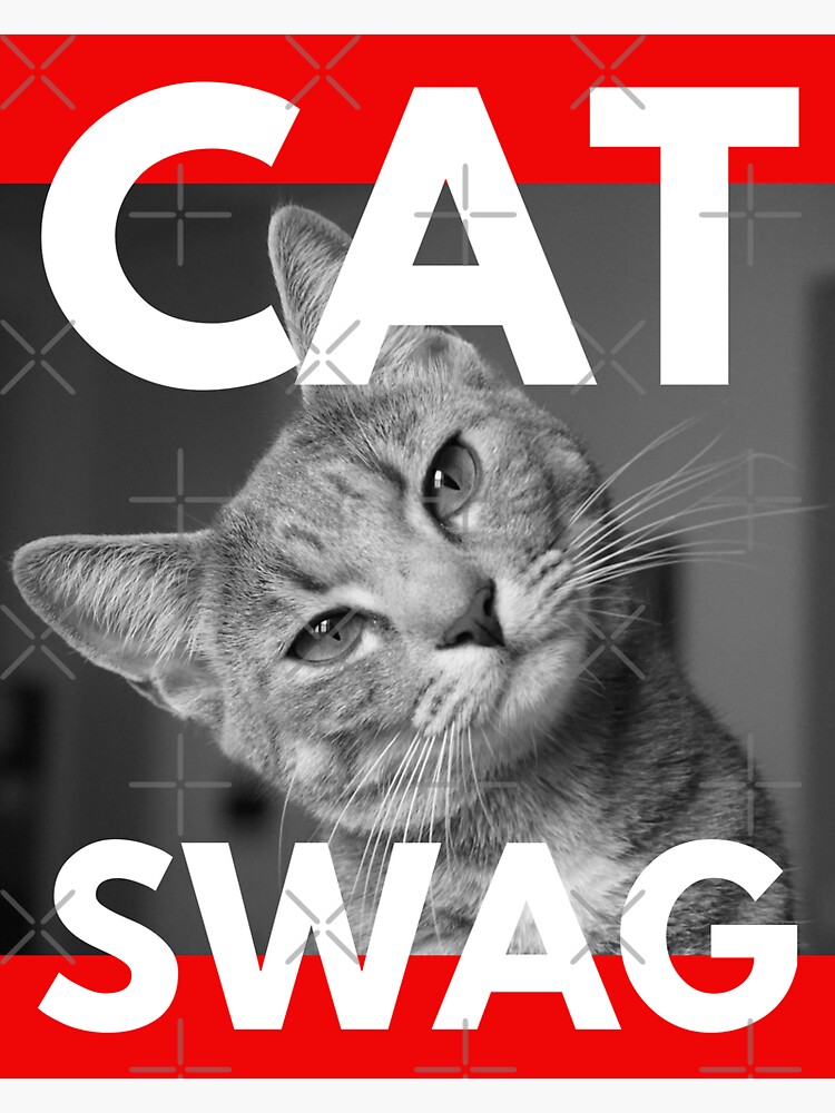 "CAT SWAG Red and White Photo Design 007" Sticker for Sale by ...