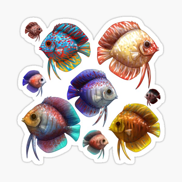 "Discus fish " Sticker by StudioCorvid | Redbubble