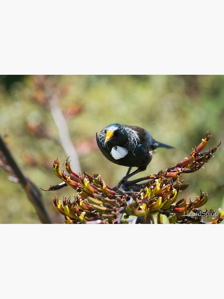 New Zealand Tui Premium Matte Vertical Poster sold by Vikky Palau | SKU ...