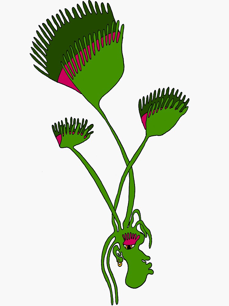 "Venus Flytrap " Sticker for Sale by felixbdoodlin | Redbubble