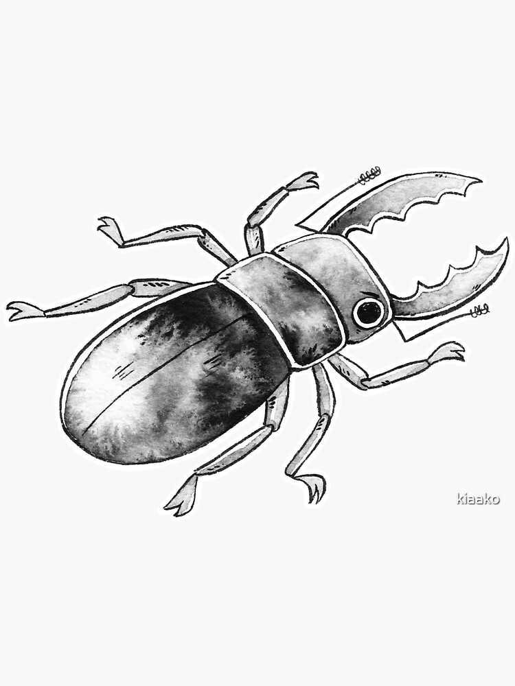 "Angry Stag Beetle" Sticker for Sale by kiaako | Redbubble
