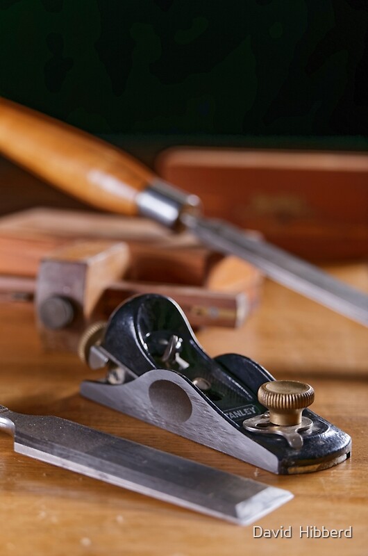 "On the bench" by David Hibberd | Redbubble