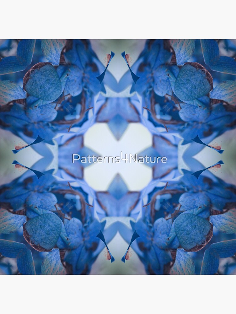 "Blue Star" Poster by Patterns4Nature | Redbubble