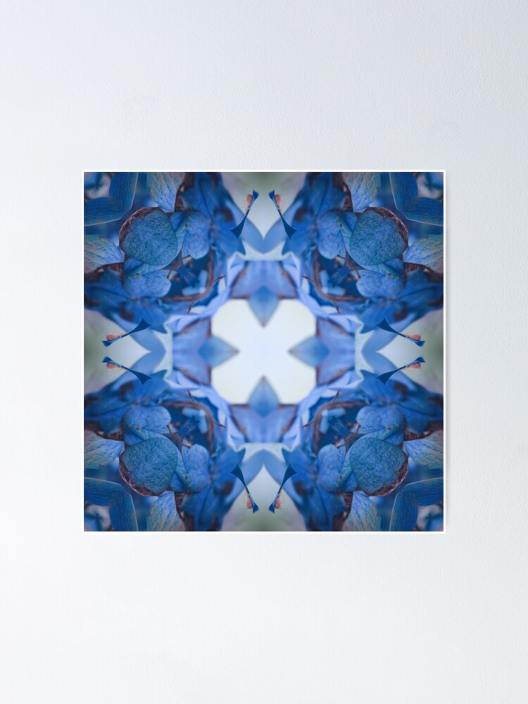 "Blue Star" Poster by Patterns4Nature | Redbubble