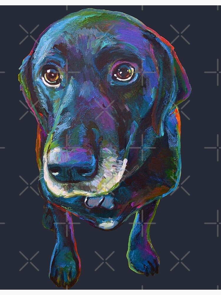 "Buddy the Black Labrador" Poster by RobertPhelpsArt | Redbubble