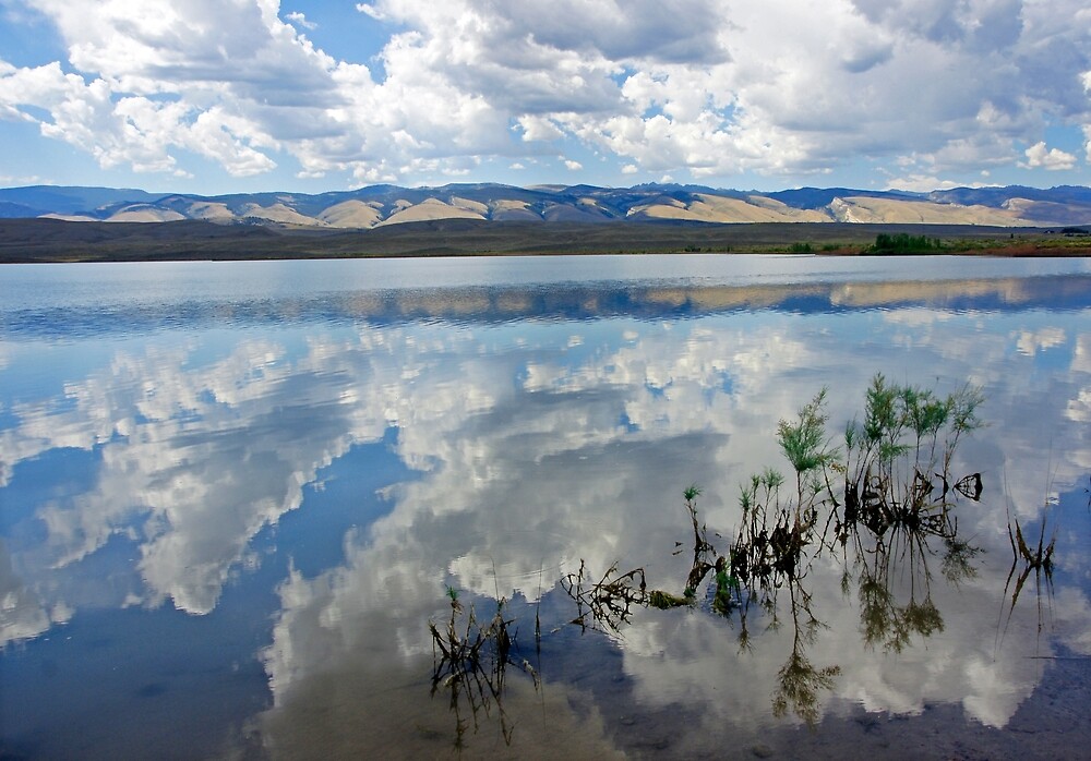 "Ray Lake, Wyoming" by Harry Oldmeadow | Redbubble