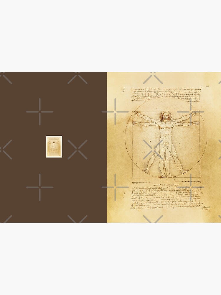 "Leonardo da Vinci Vintage sketch The Vitruvian Man The proportions of ...