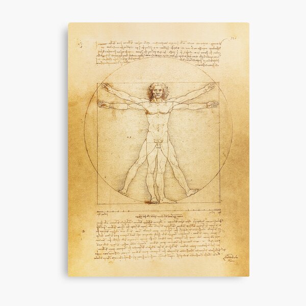 "Leonardo da Vinci Vintage sketch The Vitruvian Man The proportions of ...