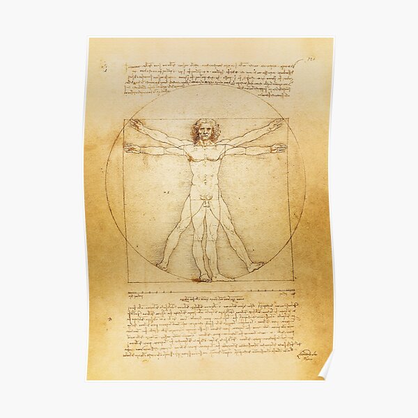 "Leonardo da Vinci Vintage sketch The Vitruvian Man The proportions of ...