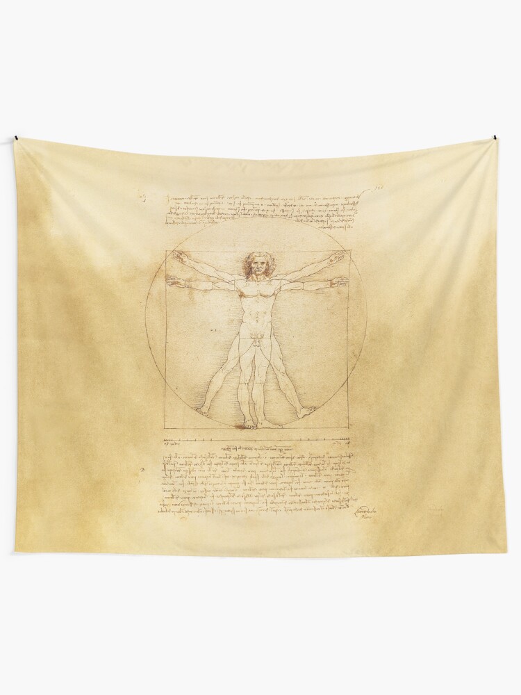 "Leonardo da Vinci Vintage sketch The Vitruvian Man The proportions of ...