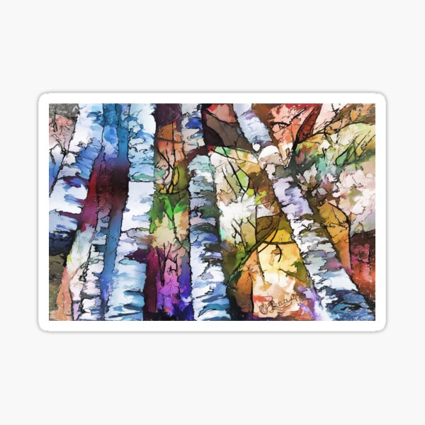 "White Aspen an Birch Trees " Sticker for Sale by ArtOLena | Redbubble