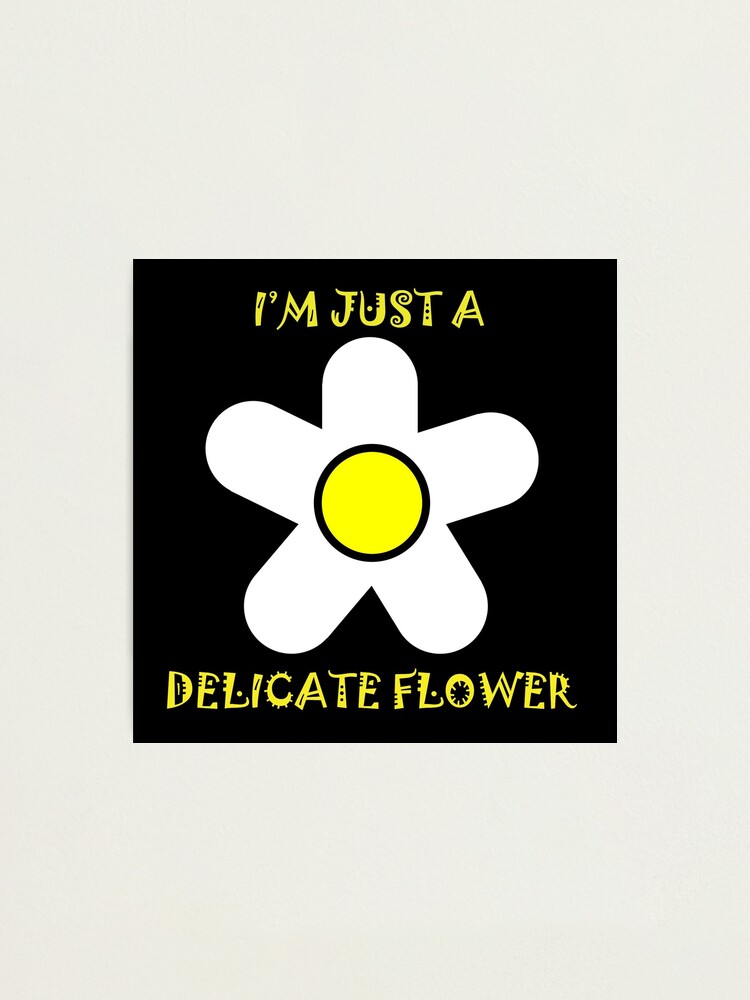 "I am just a delicate flower... be gentle" Photographic Print for Sale ...