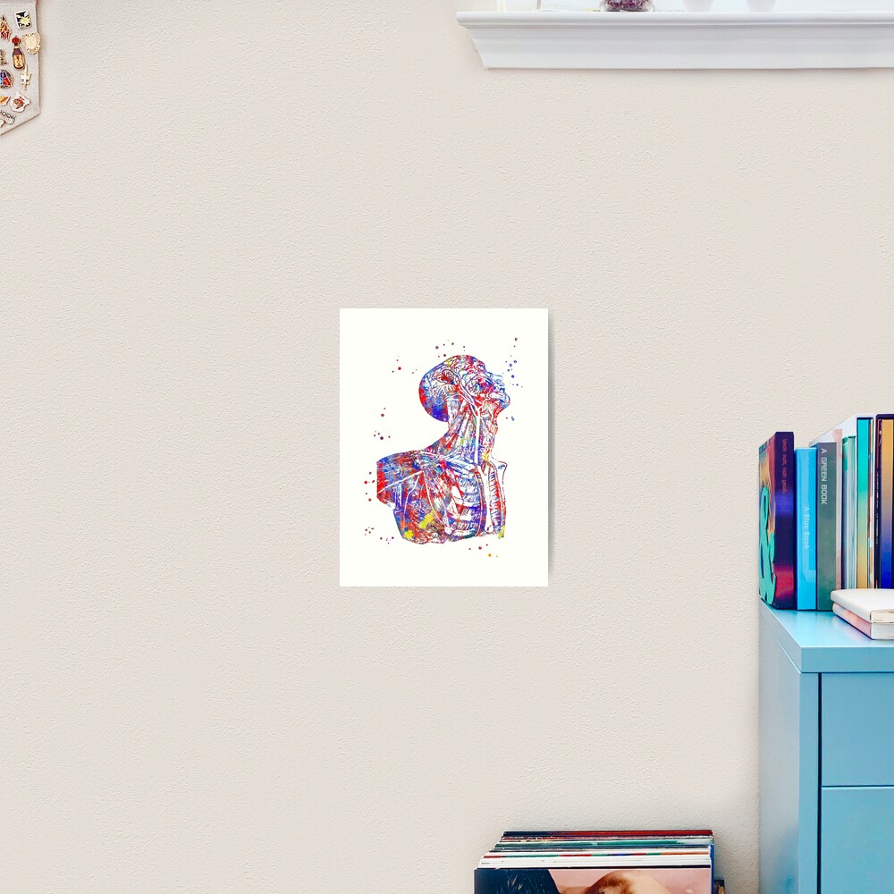 "Human torso, human anatomy, human body" Art Print for Sale by ...