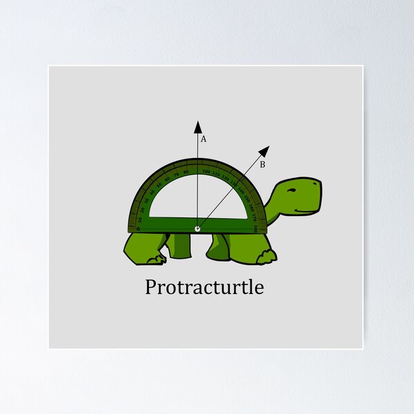 "Protracturtle - Funny Math Turtle" Poster by bethcentral | Redbubble