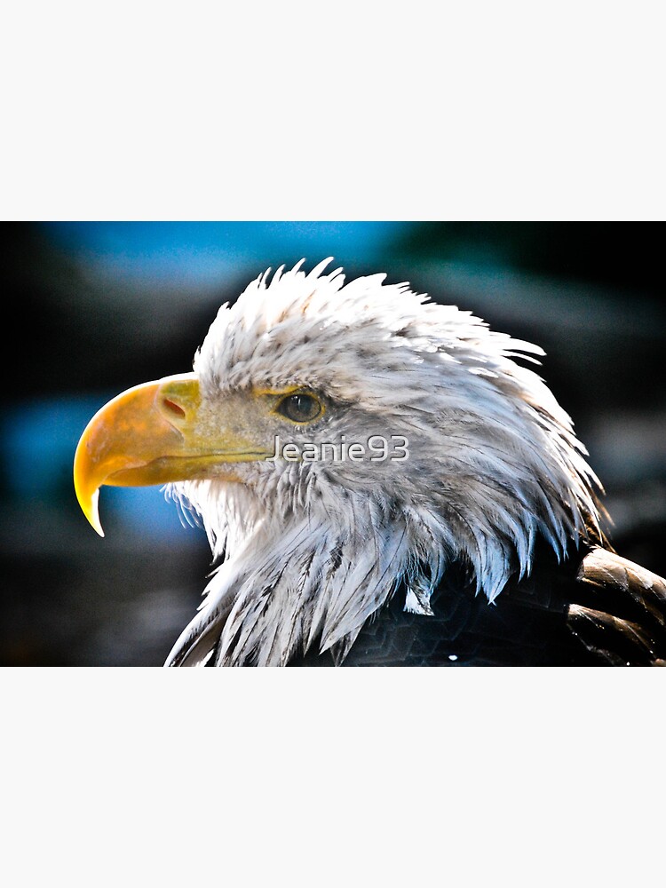 "Sam Eagle 3" Poster for Sale by Jeanie93 | Redbubble