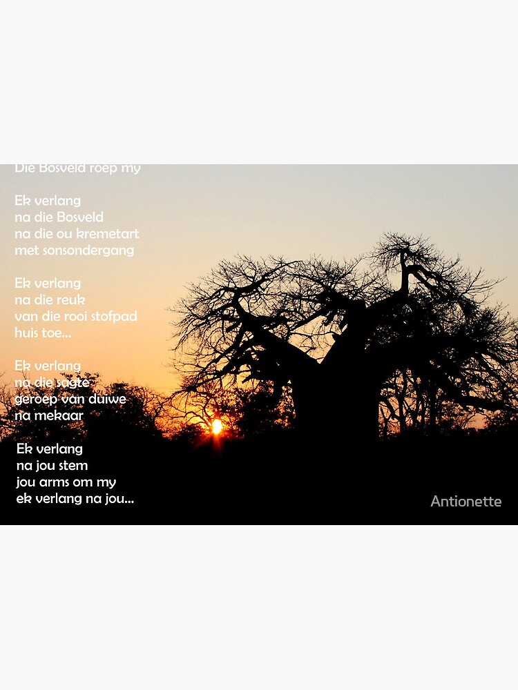 "Missing you/Ek verlang" Photographic Print for Sale by Antionette ...