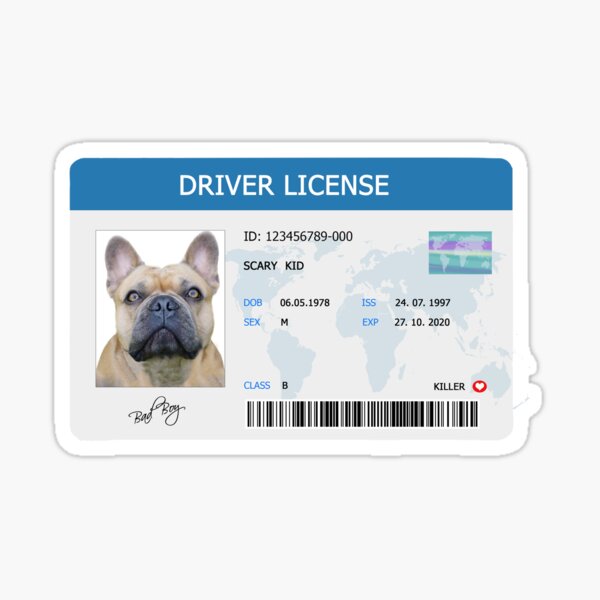 "Driver license for dog " Sticker by taritante | Redbubble