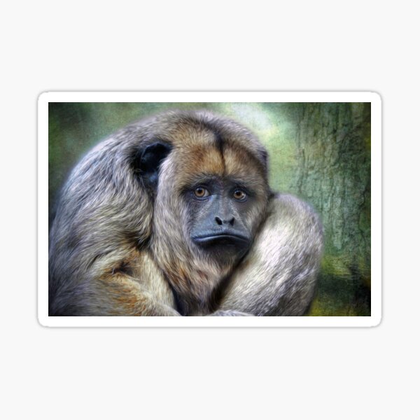 "Howler Monkey" Sticker by venny | Redbubble