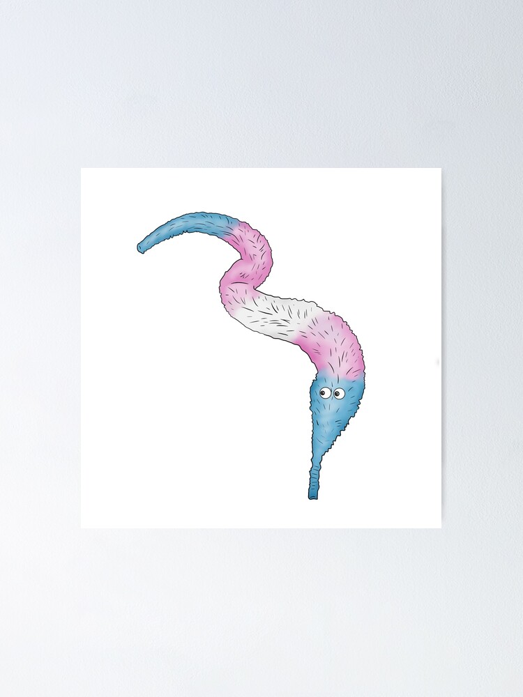 "Trans worm!" Poster for Sale by fairyyfacee | Redbubble
