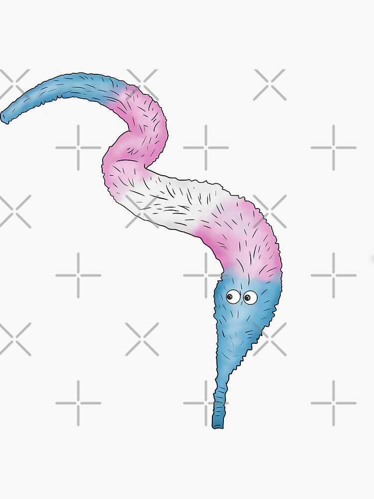 "Trans worm!" Sticker for Sale by fairyyfacee | Redbubble