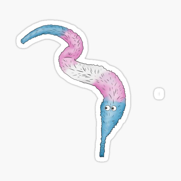 "Trans worm!" Sticker for Sale by fairyyfacee | Redbubble