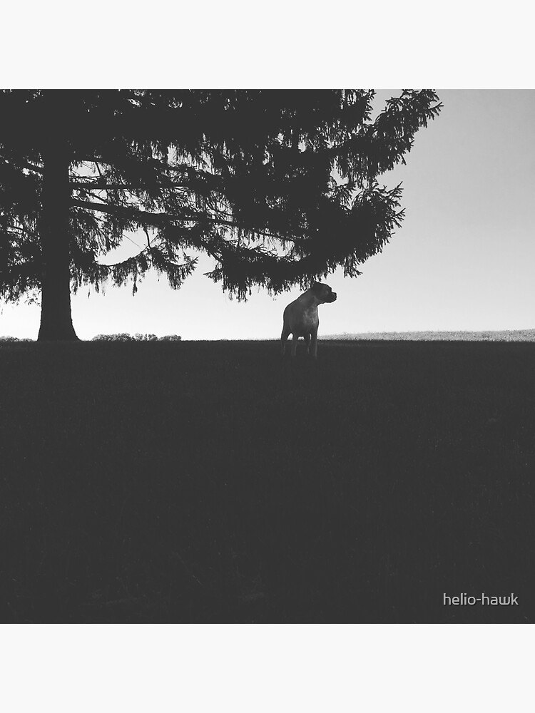 "dog in silhouette " Sticker by helio-hawk | Redbubble