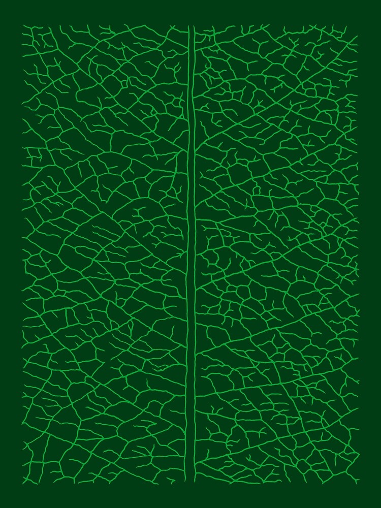 "Leaf Pathways, Green" by Tim Gengler | Redbubble