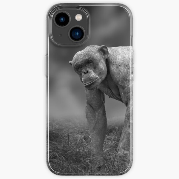 "Jambo The Hairless Chimpanzee" iPhone Case for Sale by rawshutterbug ...