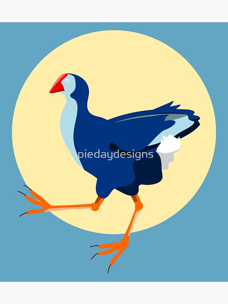 "Pukeko" Canvas Print by piedaydesigns | Redbubble