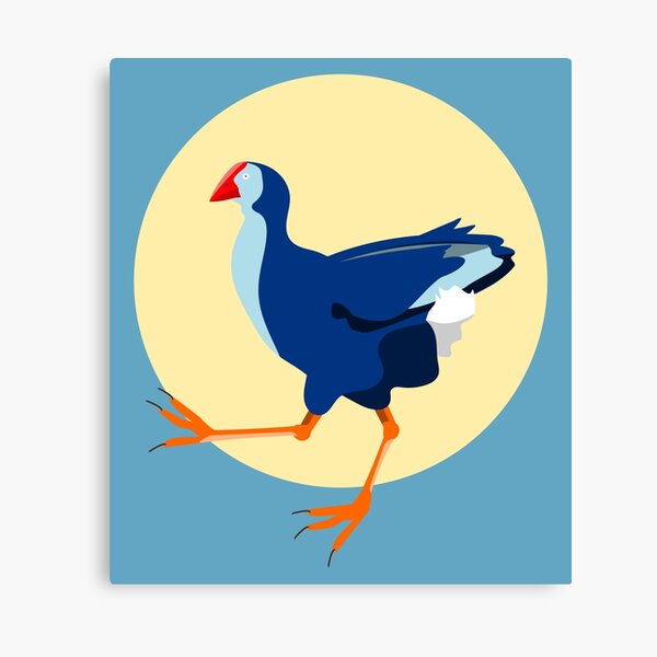 "Pukeko" Canvas Print by piedaydesigns | Redbubble