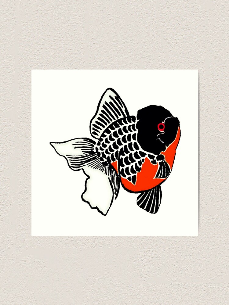 "Oranda Goldfish Tri Color" Art Print for Sale by Nosnah | Redbubble