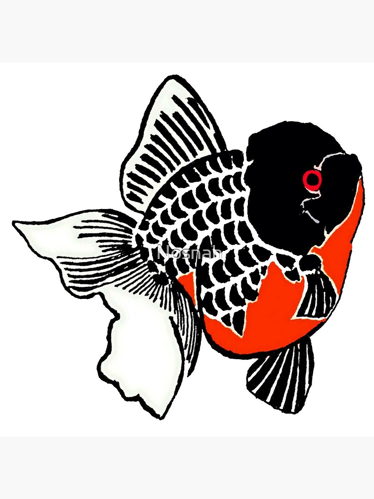 "Oranda Goldfish Tri Color" Art Print for Sale by Nosnah | Redbubble