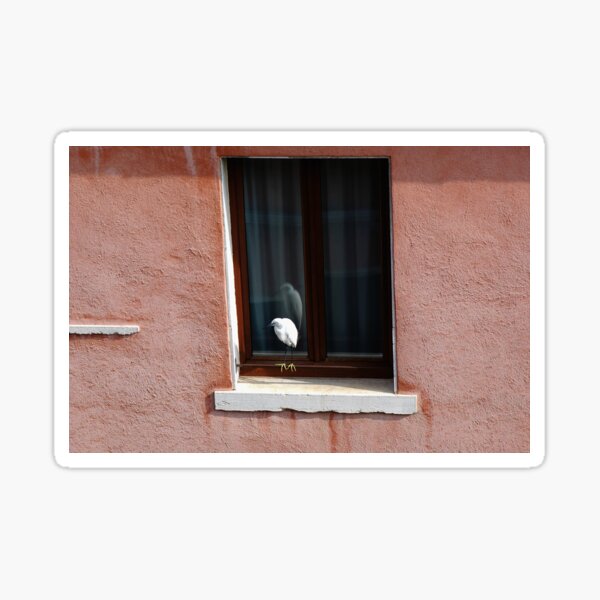 "Visitor on the Window Ledge" Sticker for Sale by Nerone | Redbubble