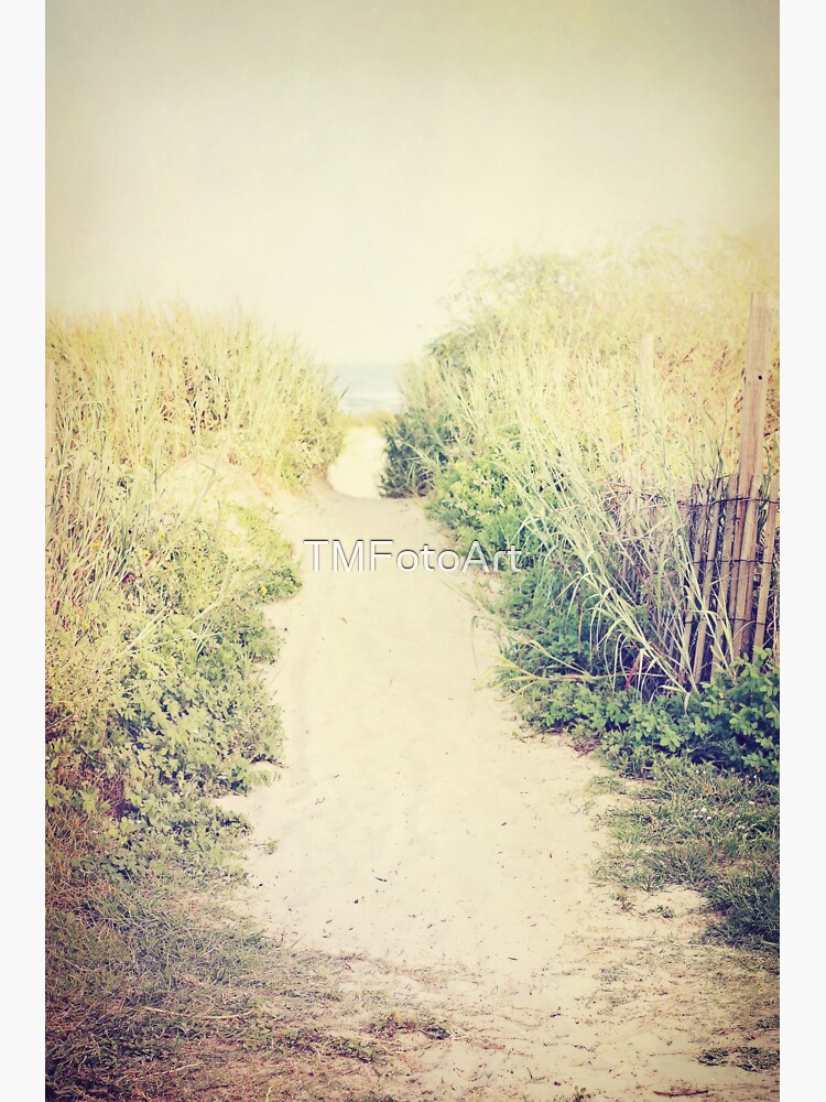 "Finding Your Way" Sticker for Sale by pmistric | Redbubble