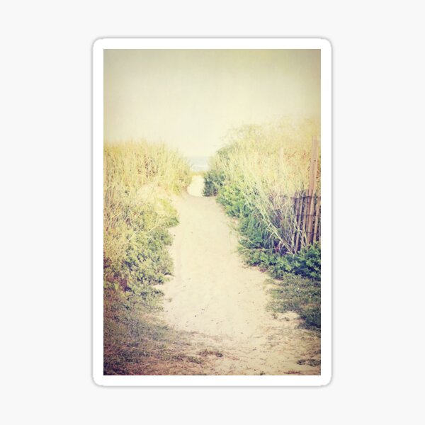 "Finding Your Way" Sticker for Sale by pmistric | Redbubble