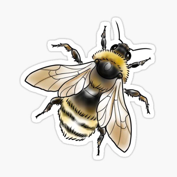 Fuzzy Bee Gifts & Merchandise | Redbubble