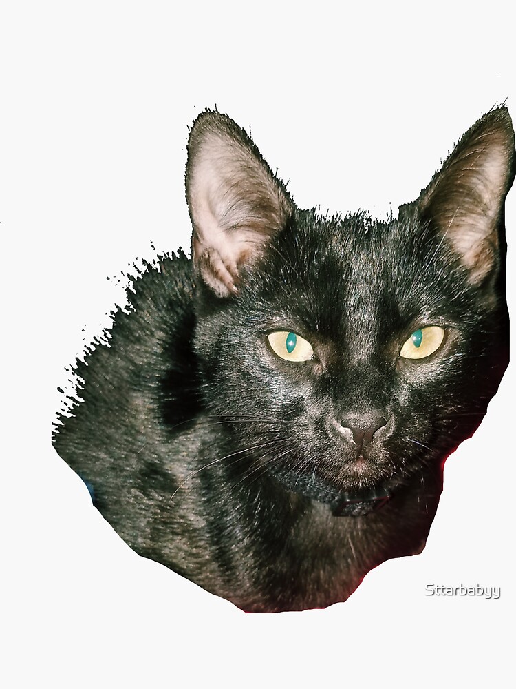 "Spooky Star" Sticker by Sttarbabyy | Redbubble