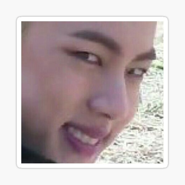 "Jin meme" Sticker for Sale by Braventel99 | Redbubble