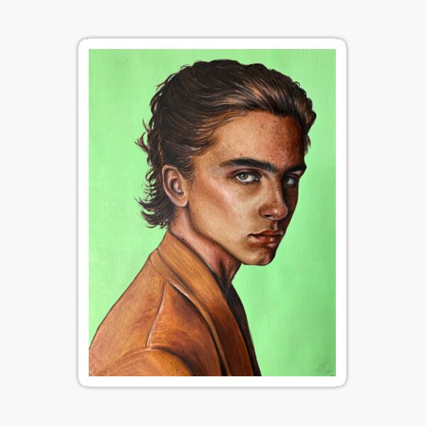 "timothée" Sticker by artbymartine | Redbubble