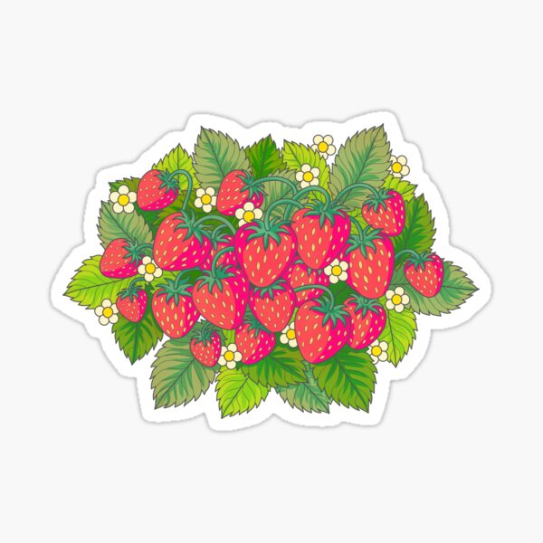 "Strawberries" Sticker for Sale by Rusembell | Redbubble