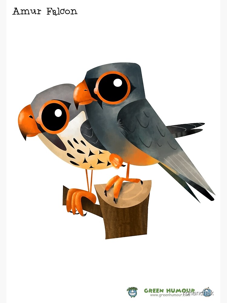"Amur Falcon" Poster for Sale by rohanchak | Redbubble